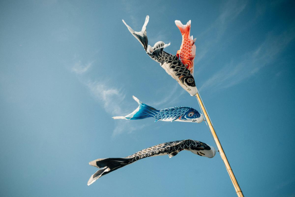 Python Exercises - Level 1 (with solutions For Beginners)